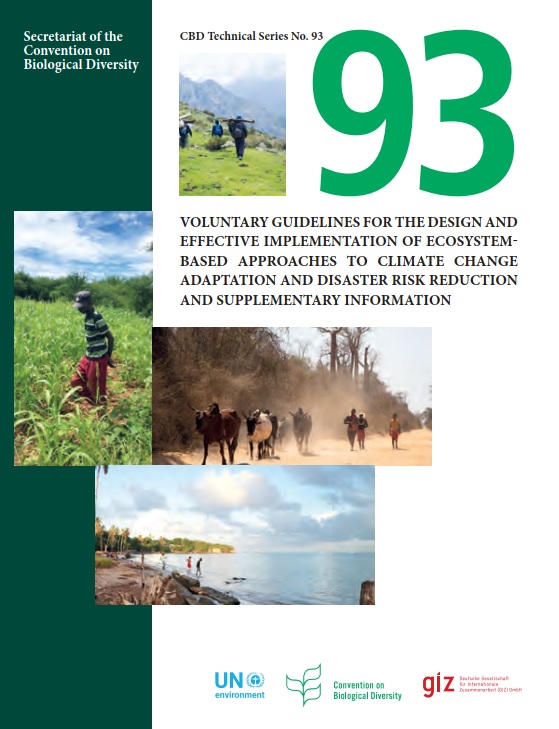 Portfolio | Puffin Environmental Consulting